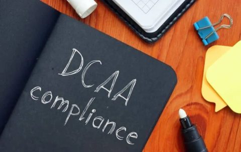 Govology- Intro to DCAA and the Audit Process | The Michael R. McNulty ...